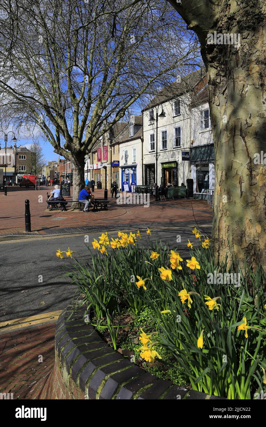 Spring view over Ely City centre; Cambridgeshire; England; UK Stock ...