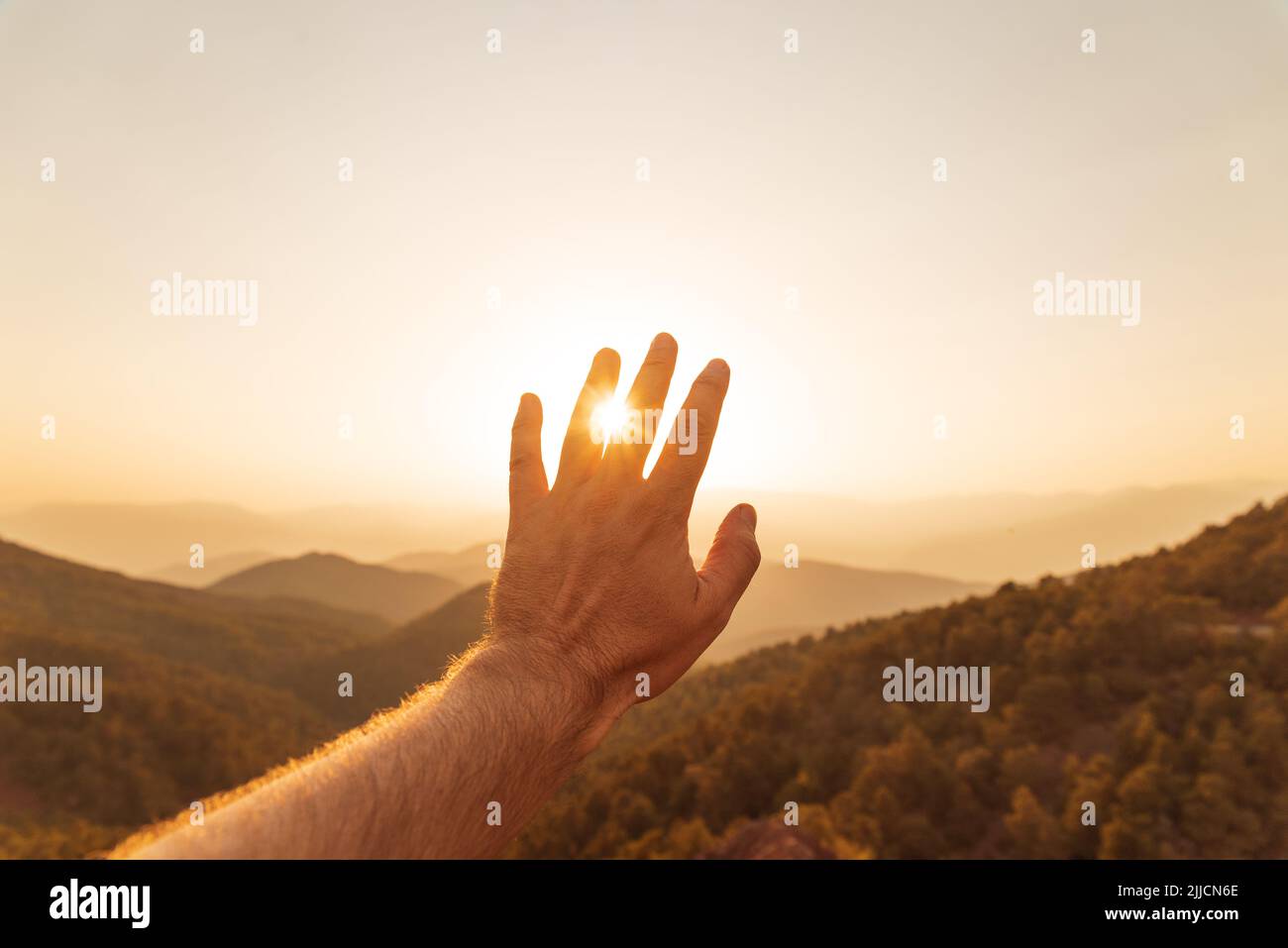 male hand reaching out in summer Stock Photo - Alamy