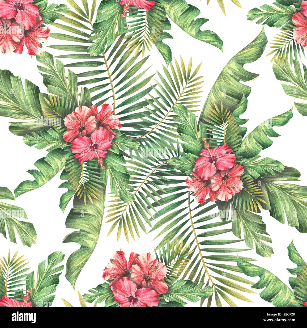 Red hibiscus flowers with tropical palm leaves on a white background ...