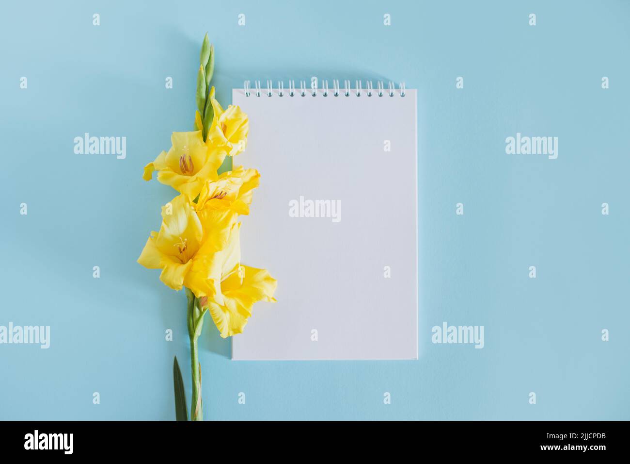 Beautiful yellow Gladiolus flower and a notebook with blank page on a ...