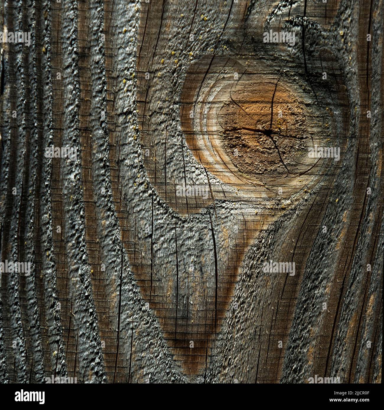 Close-up view of textured wooden surface with natural patterns and ...
