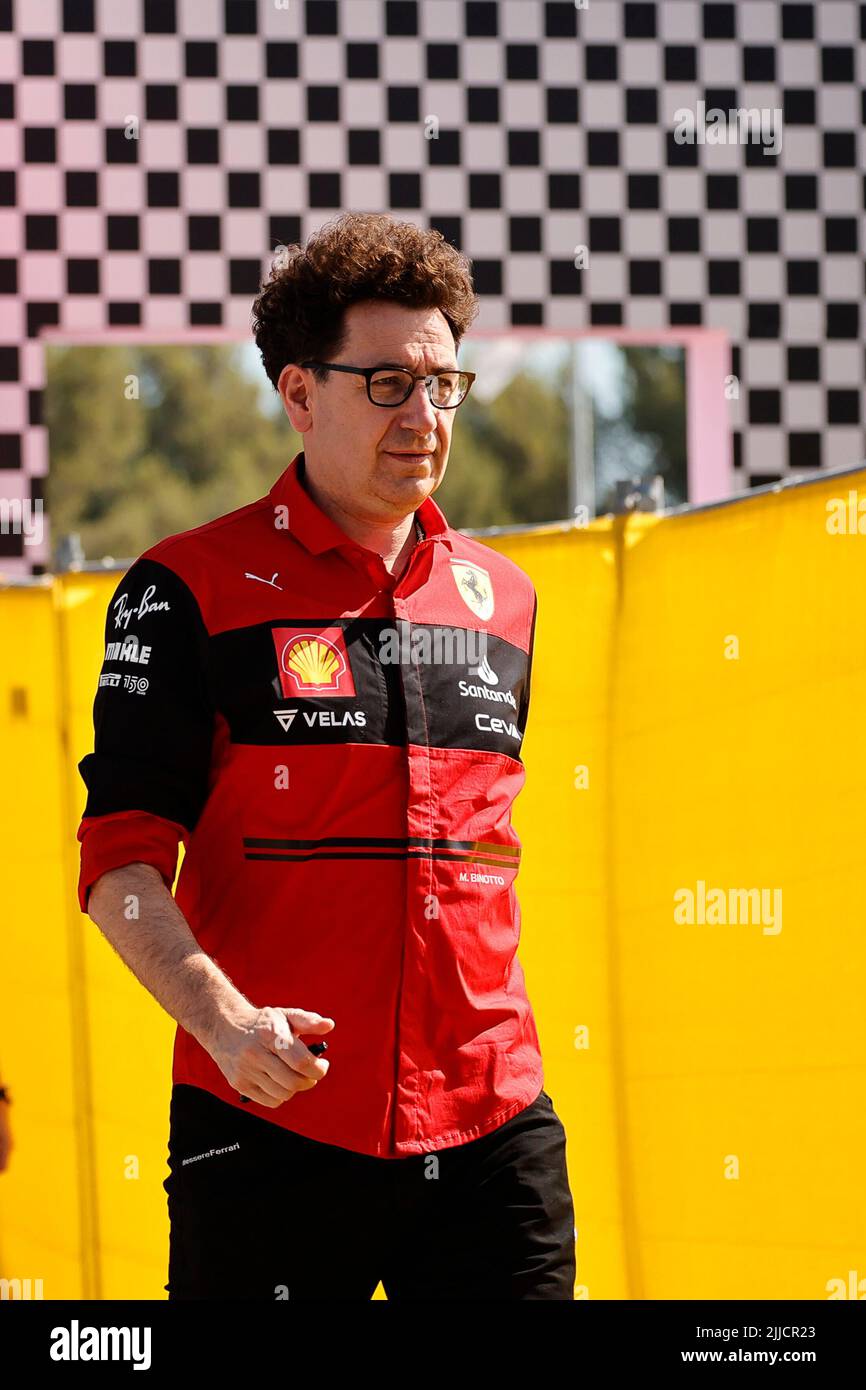 Face of mattia binotto hi-res stock photography and images - Alamy
