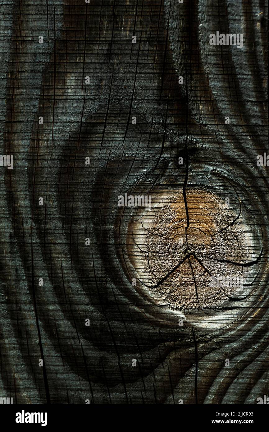 Close-up view of textured wooden surface with natural patterns and ...