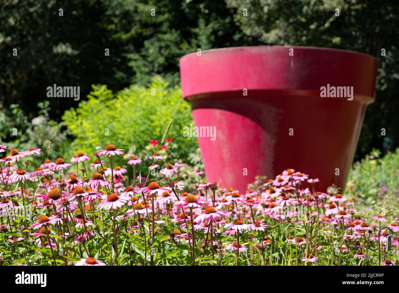 Red wild flowers grow amongst long grass around a giant red ornamental ...