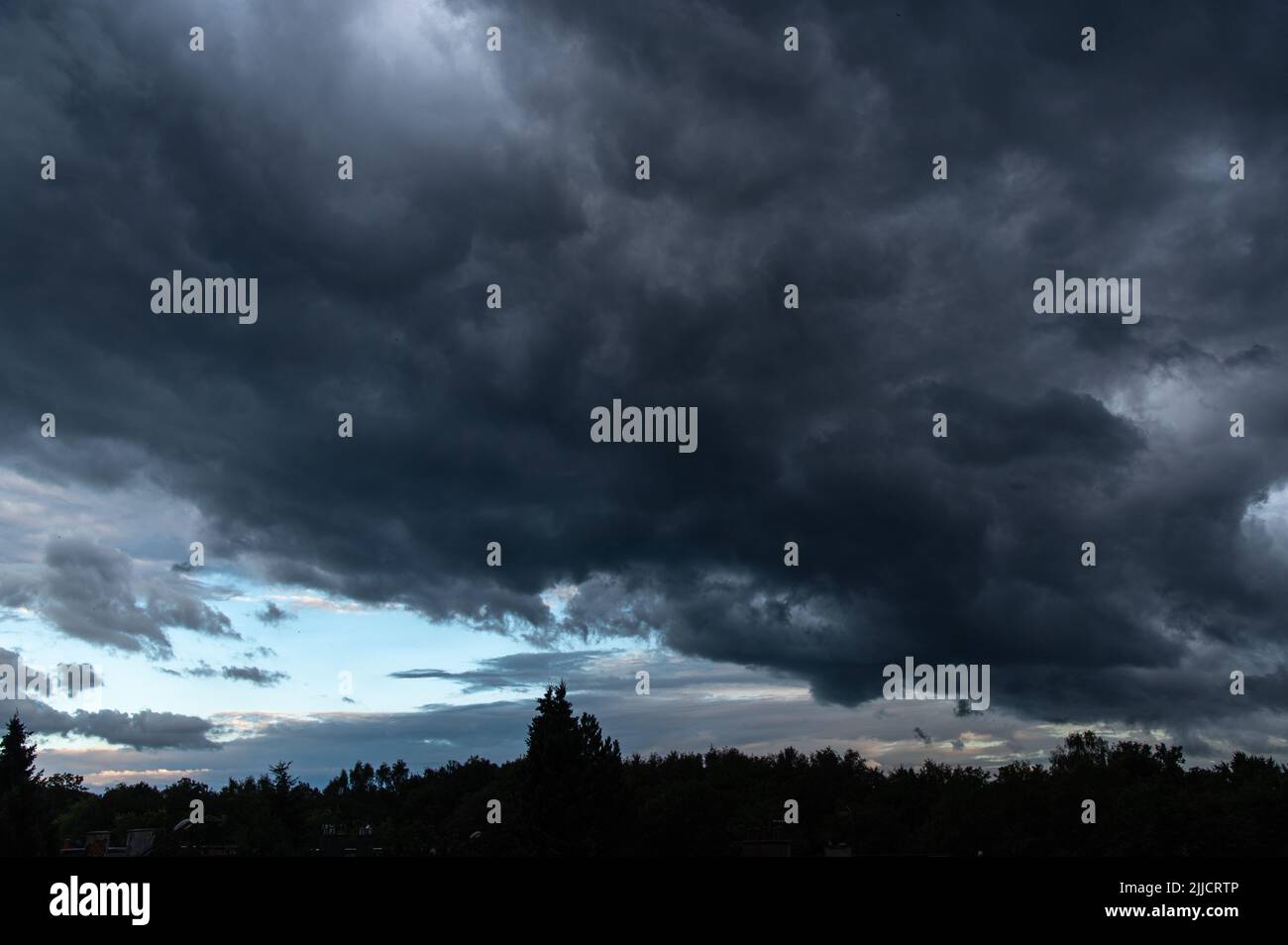 Trees woods stormy sky hi-res stock photography and images - Alamy