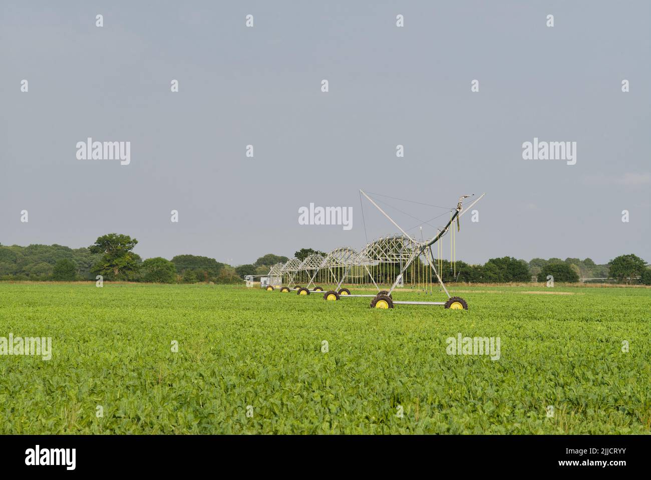 Aperatus hi-res stock photography and images - Alamy