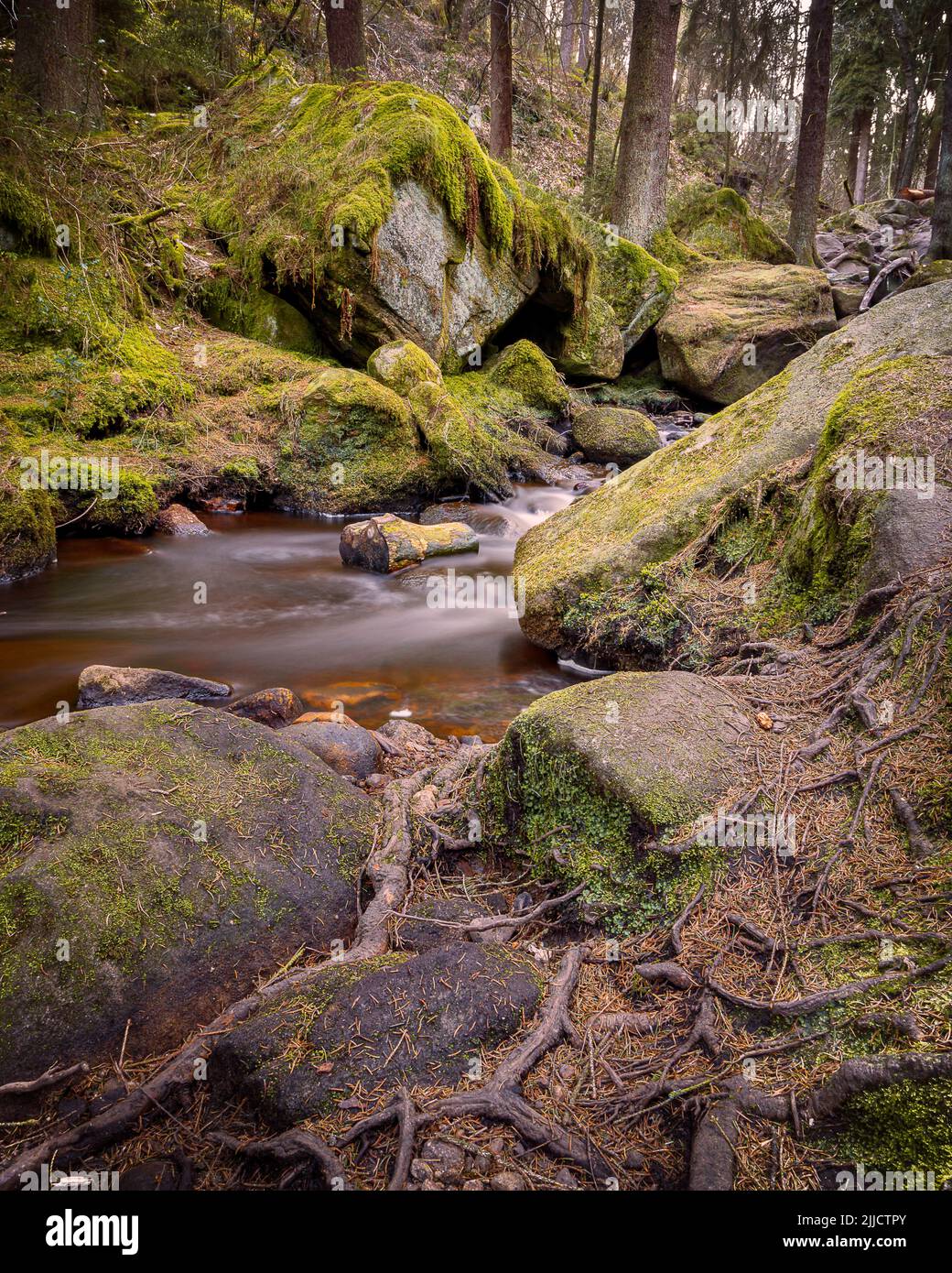 A gorgeous scenery of the river Wyming Brook flowing in a mysterious ...