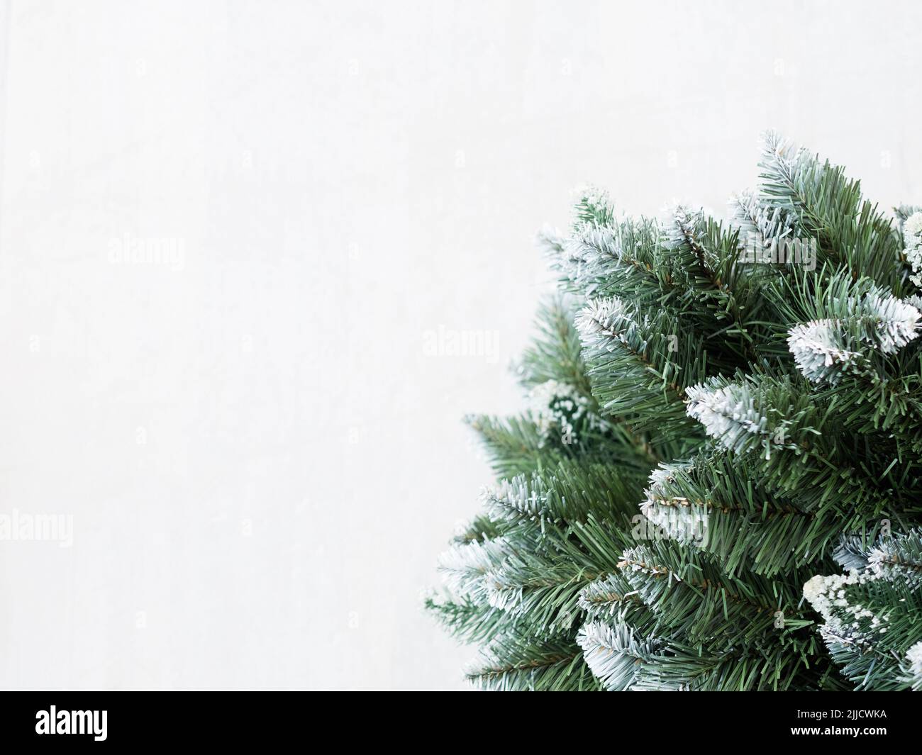 christmas festive green fir tree white background Stock Photo - Alamy