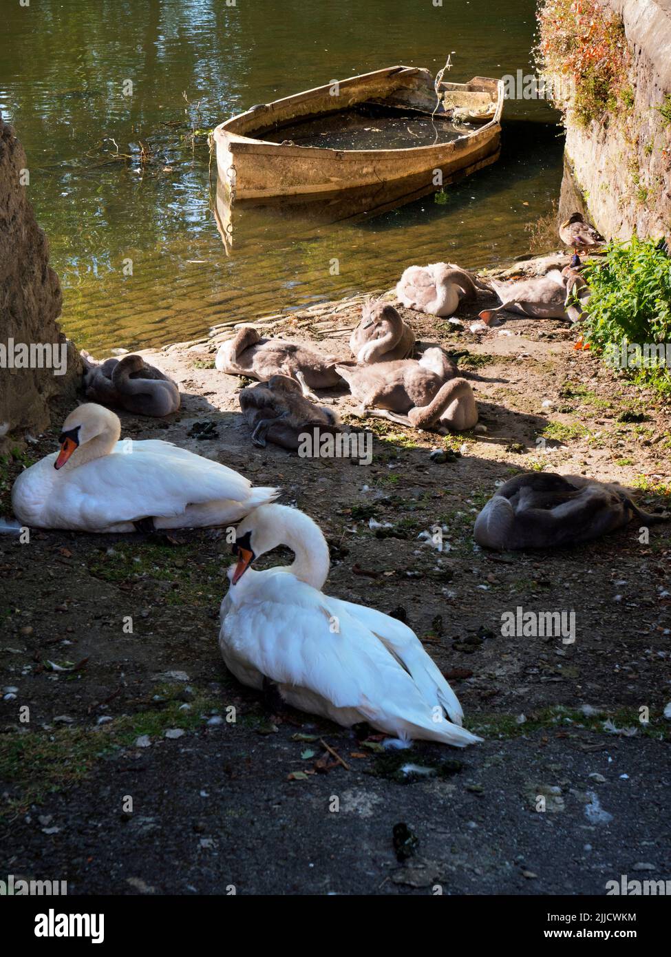 Saint Helen's Wharf is a noted beauty spot on the River Thames, just ...