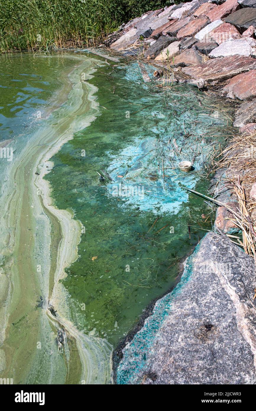 Blue green algae hi-res stock photography and images - Alamy
