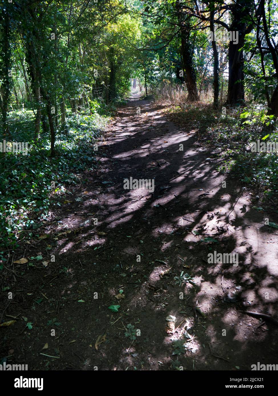 This delightful footpath leads from lower Radley Village to the River ...
