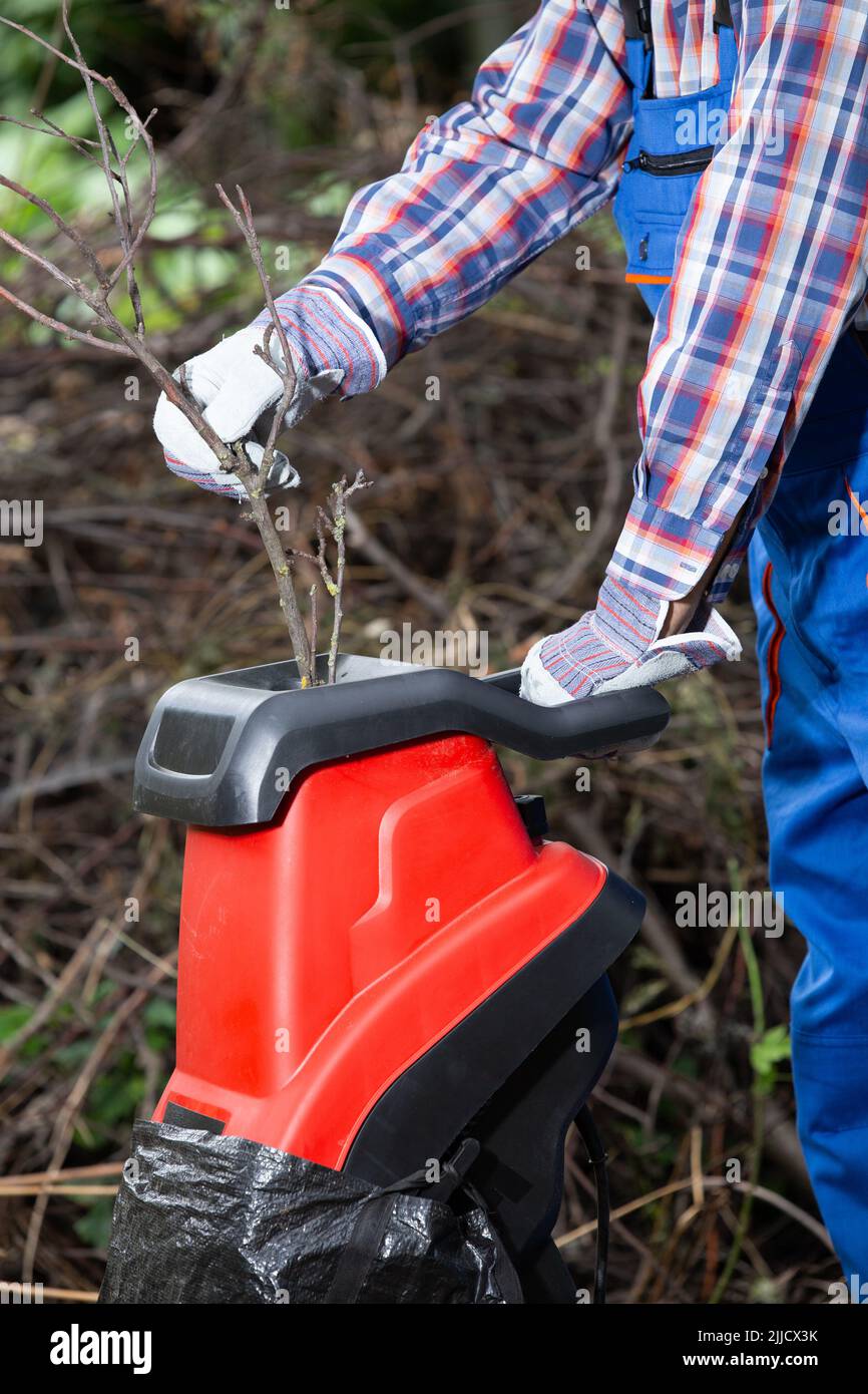 Shredding branches with an electric garden shredder in the garden Stock ...