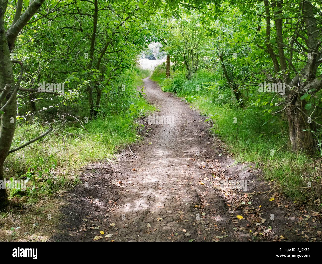 Radley village hi-res stock photography and images - Alamy