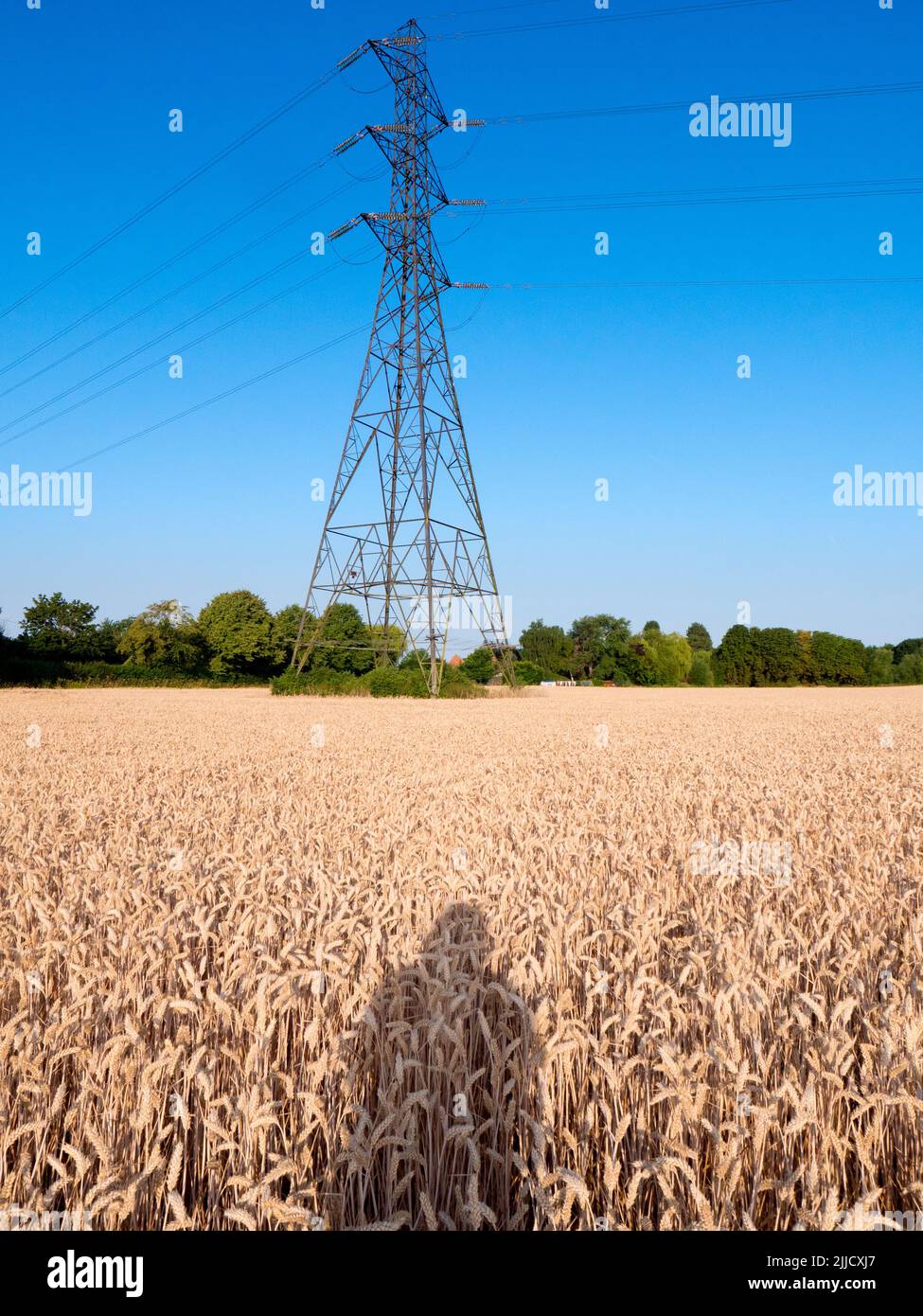 I love electricity pylons; I find their abstract, gaunt shapes ...