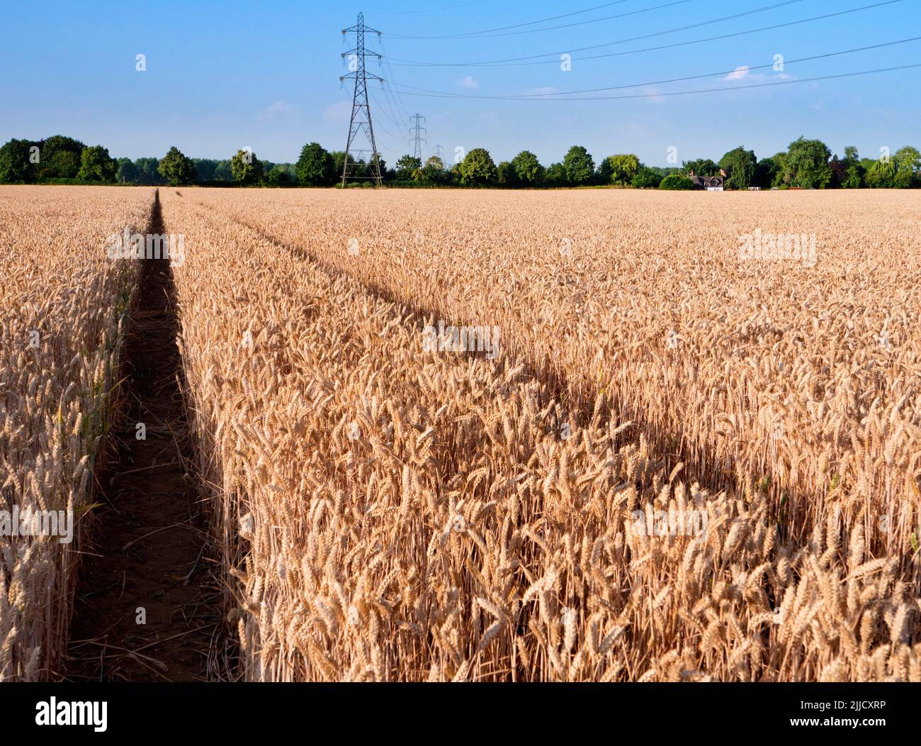 I love electricity pylons; I find their abstract, gaunt shapes ...