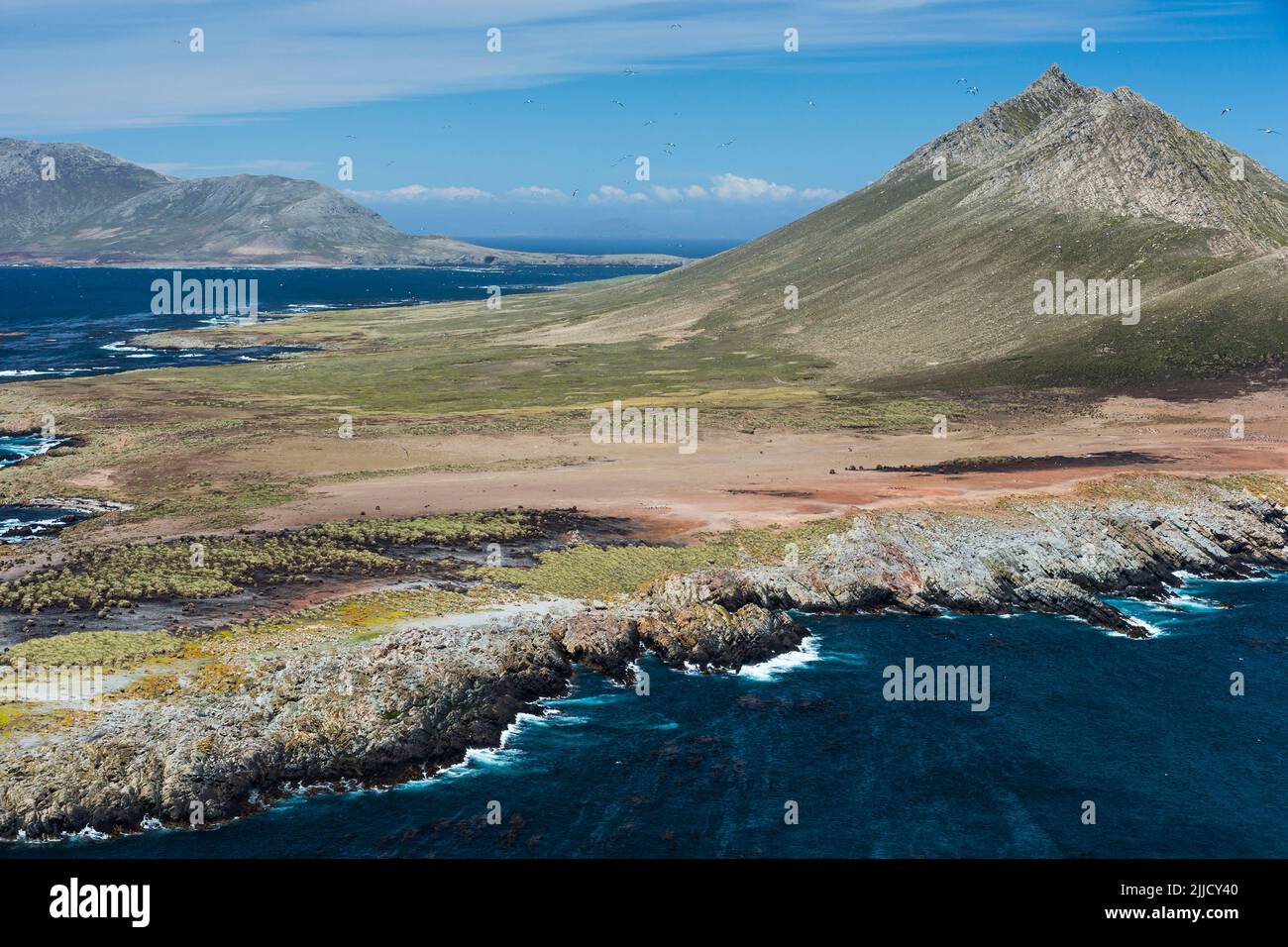 Steeple jason island hi-res stock photography and images - Alamy