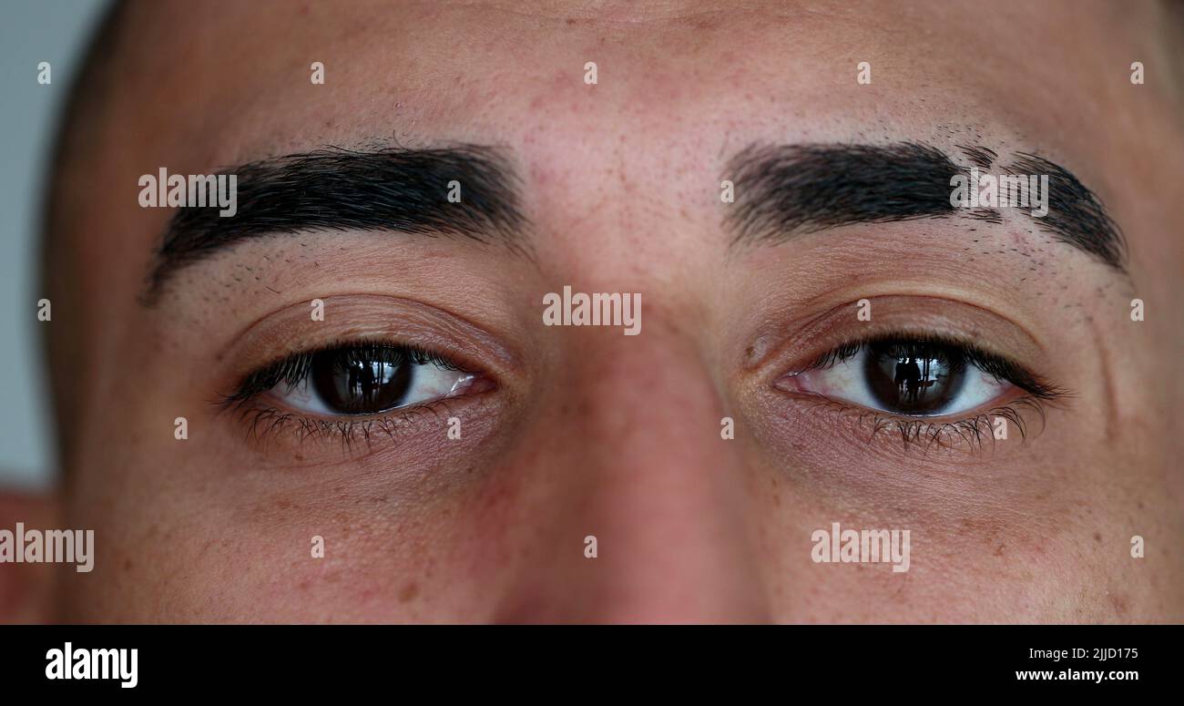 Hispanic man eyes looking at camera. South american latino close-up ...