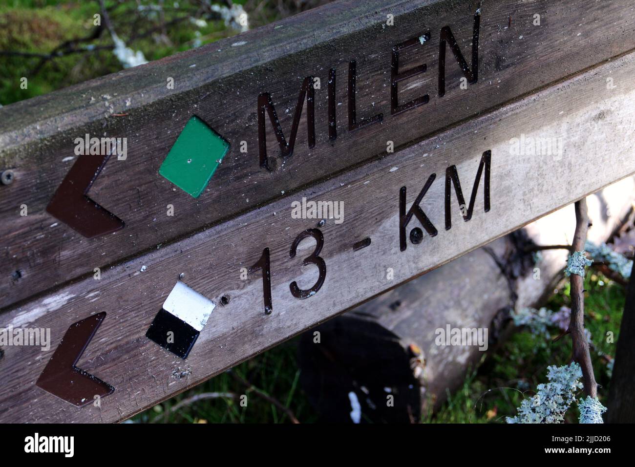 A closeup of a walking trail sign in a forest Stock Photo - Alamy