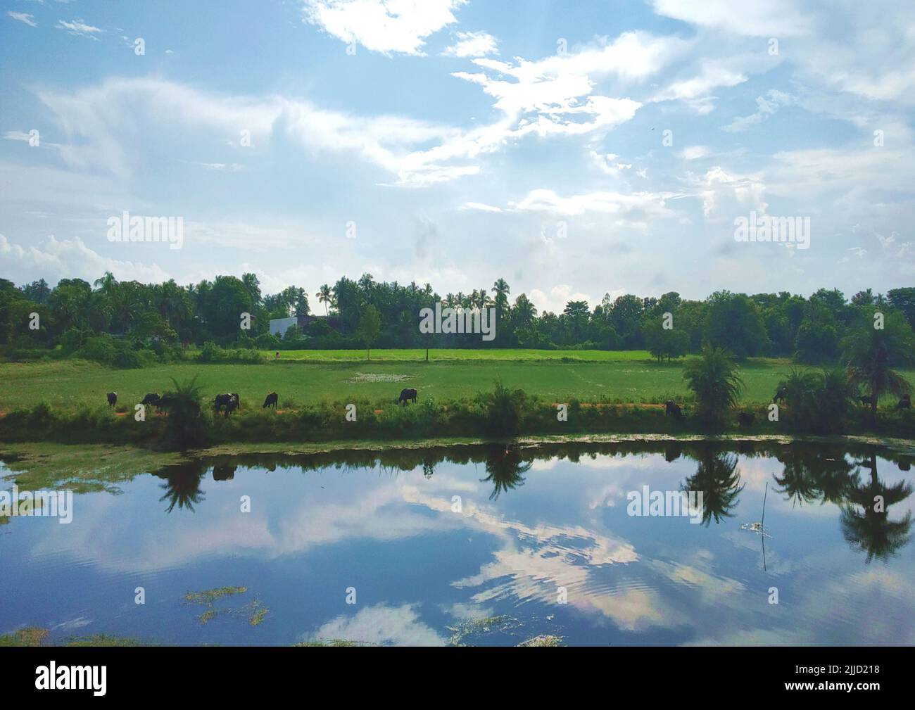 A beautiful view of a farm and sky and its reflection on a lake Stock ...