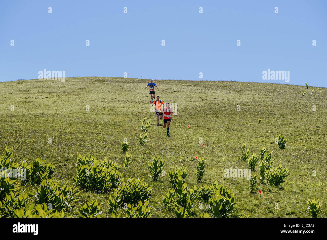 Arkhyz, Russia - July 3, 2022: group male athlete running downhill ...
