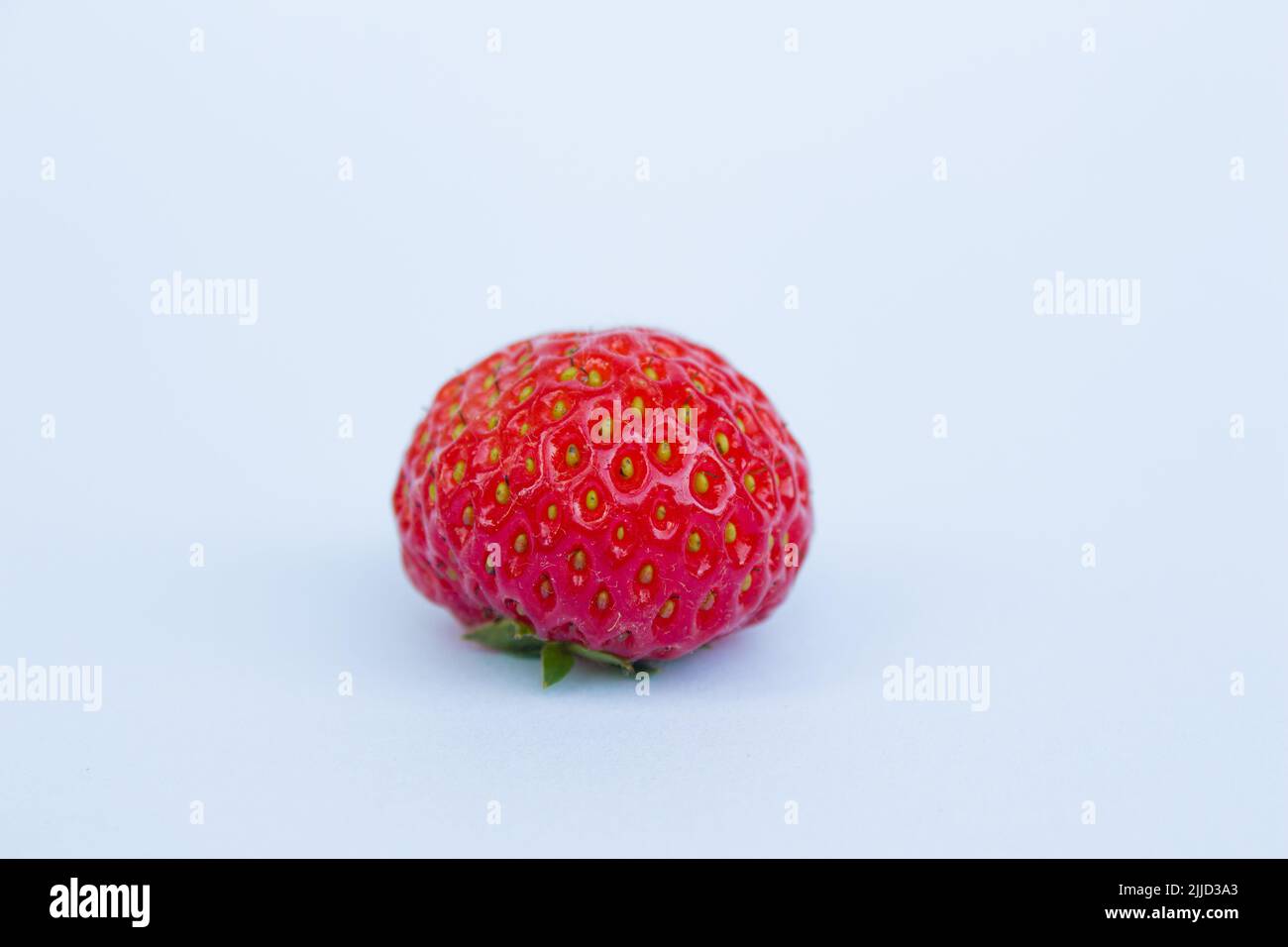 Strawberry fruit isolated on white background. Closeup photo of single ...