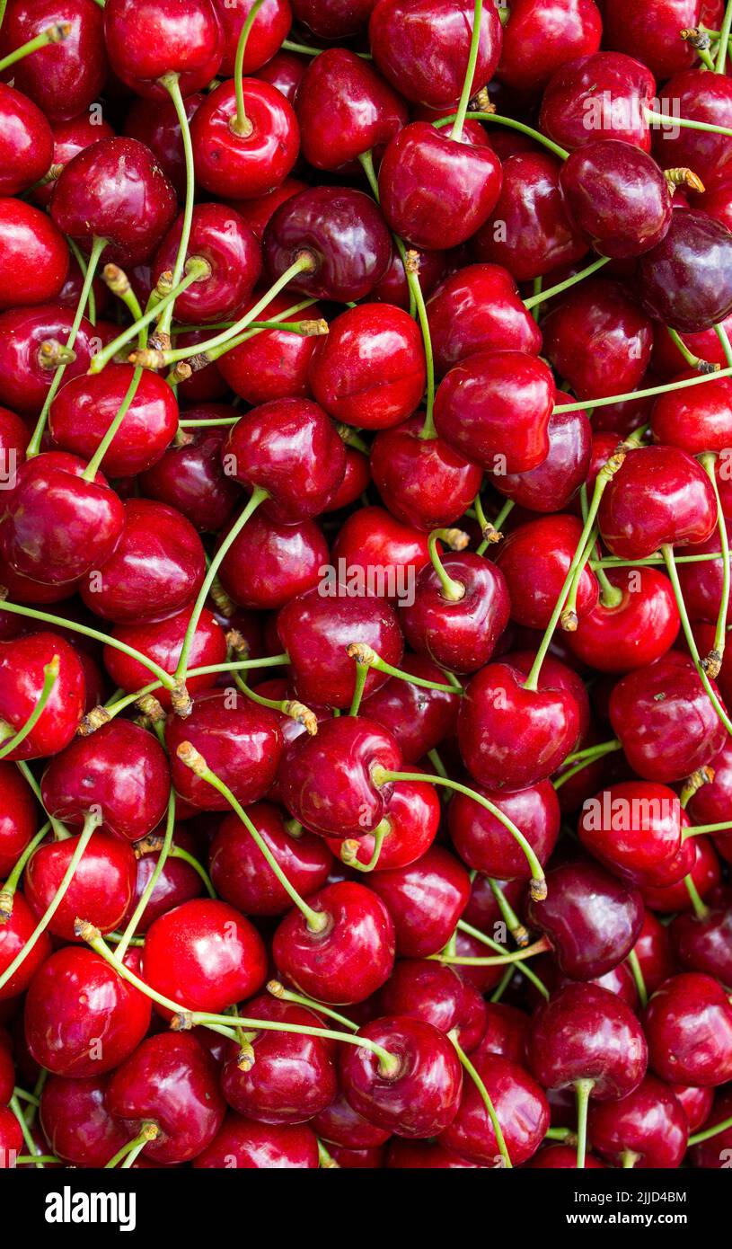Cherry background. Top view of ripe cherries. Full frame fruit ...