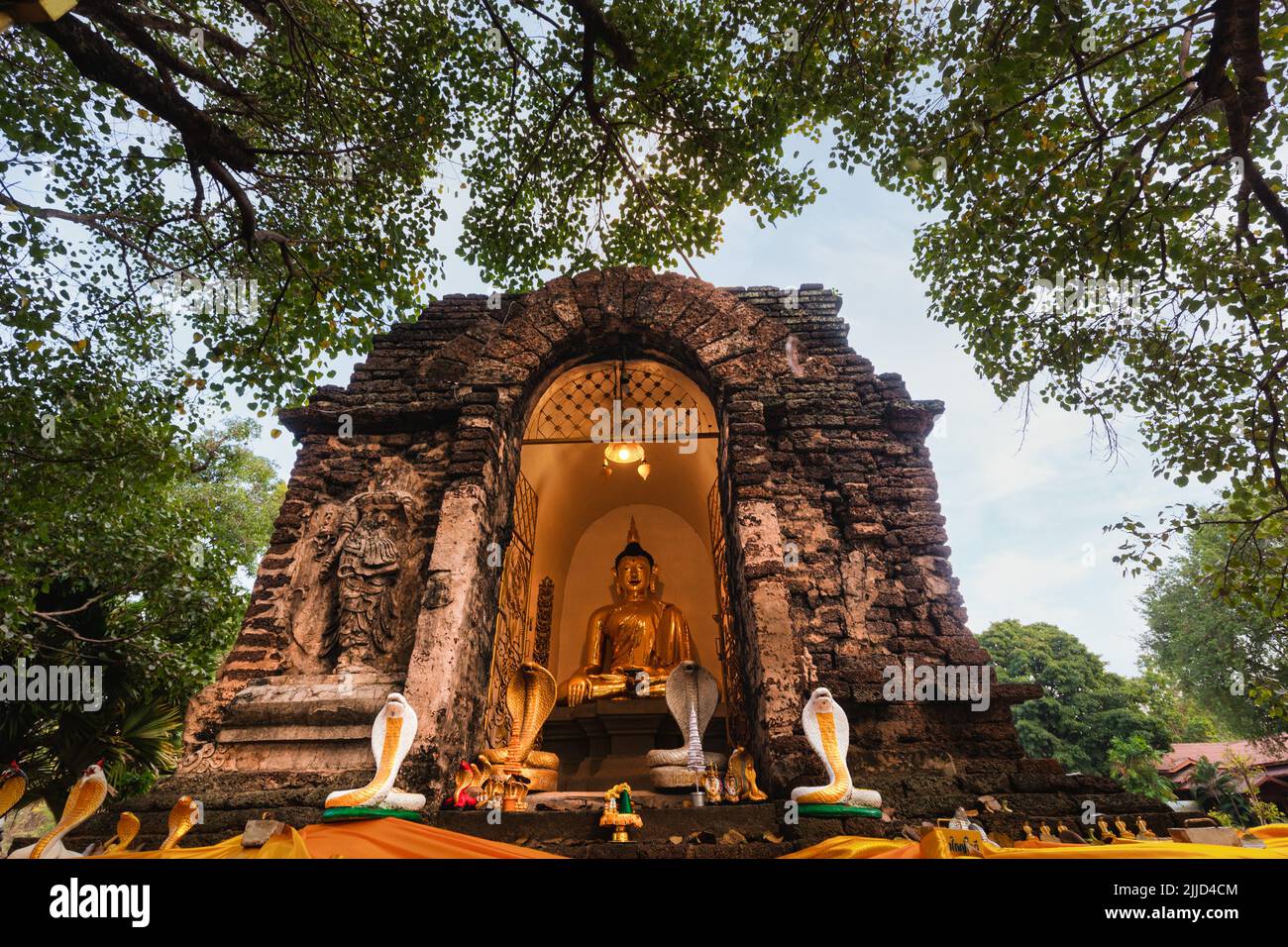 Cobra snake statue guarding the golden Buddha statue of the Wat Jet Yod ...