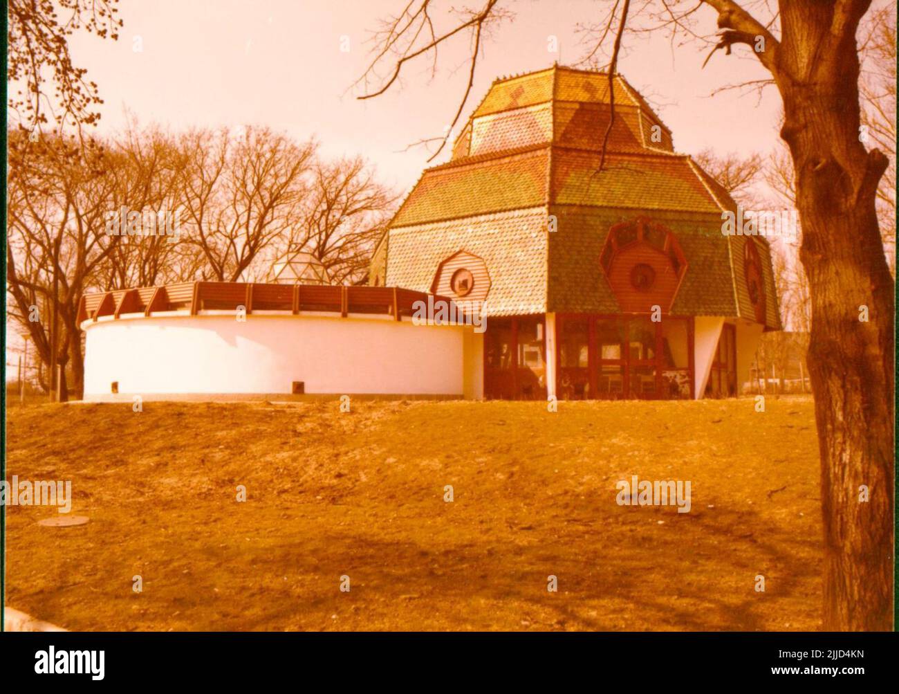 Balokány Grove In The Pictures Youth House Of Balokány Designed By