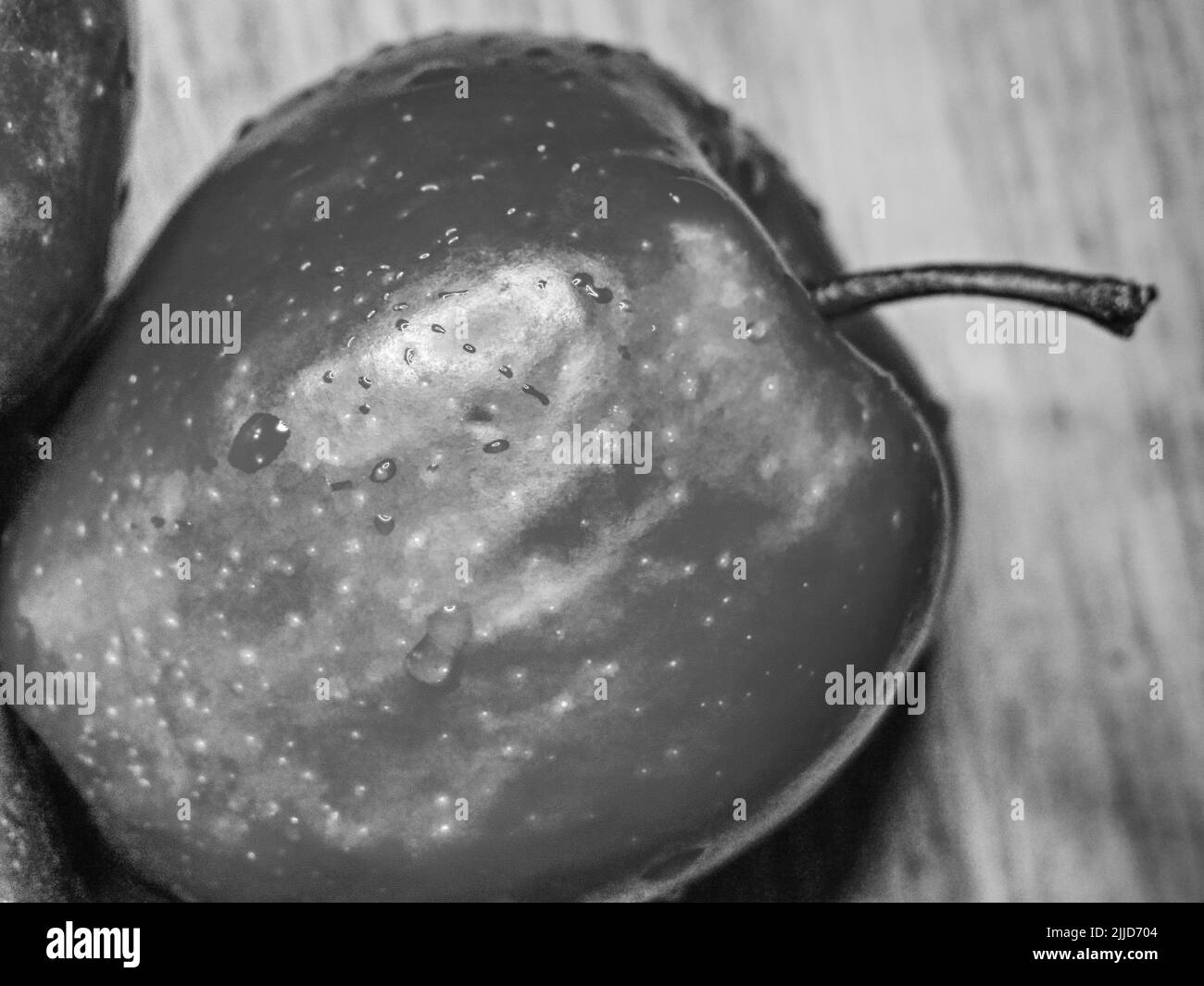 A large apple of the Red Chief variety. Black and white image Stock ...