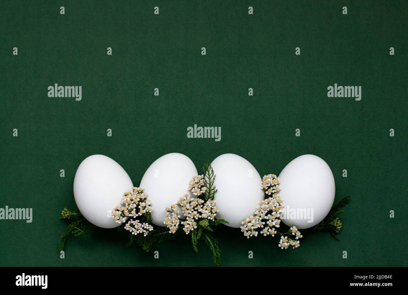 Festive Easter eggs with white small flowers on a green background ...