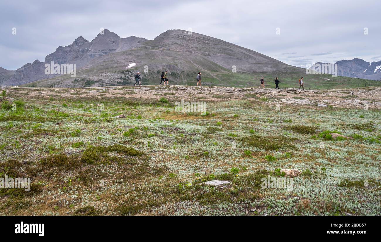 Continental divide british columbia hi-res stock photography and images ...