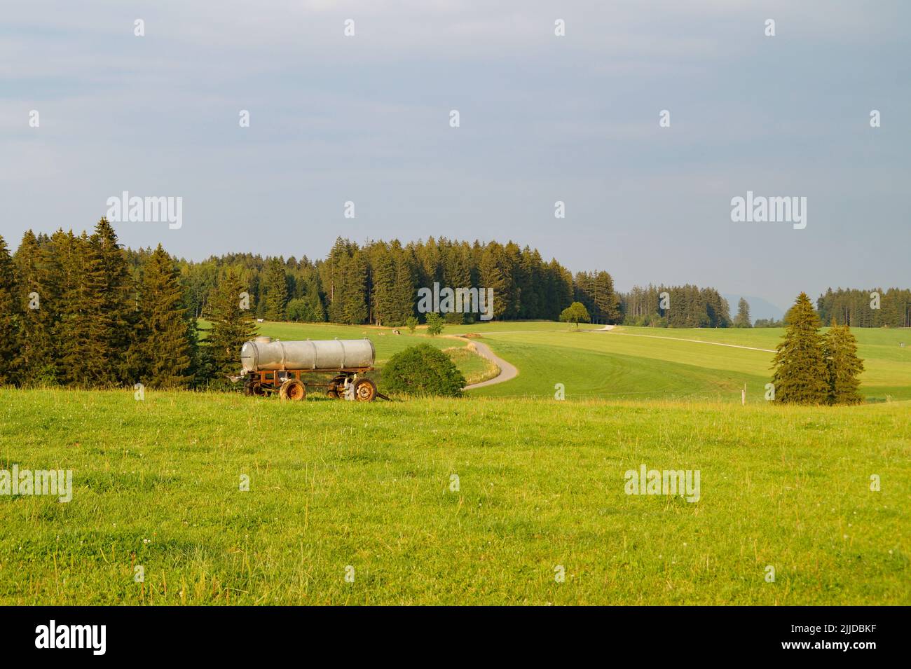 green meadows of the Allgau region in Bavaria with the Alps in the ...