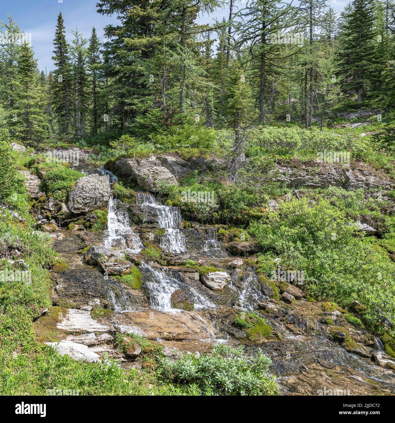 A small waterfall in Sunshine Meadows on the continental divide between ...
