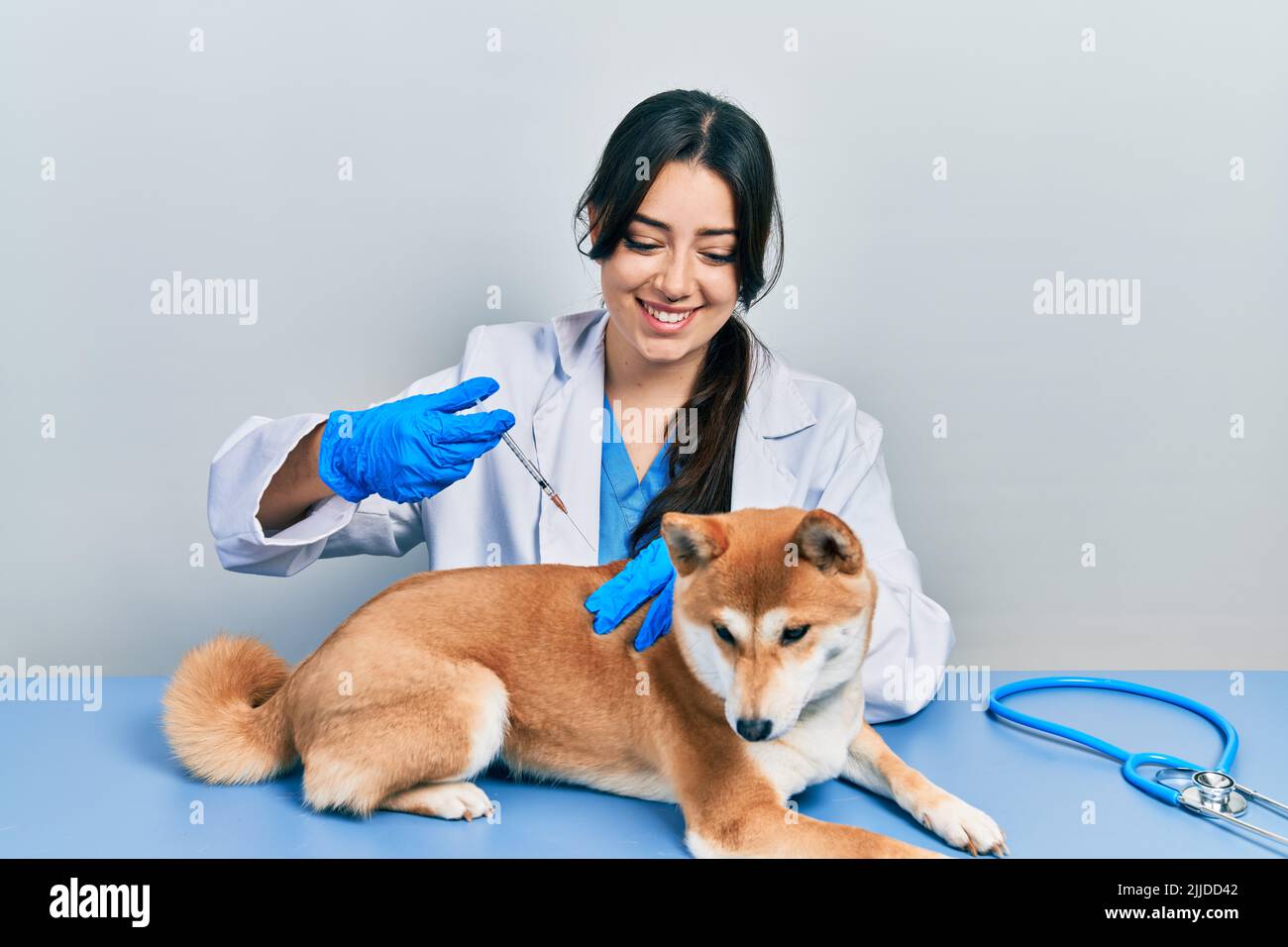 Beautiful hispanic veterinarian woman putting vaccine to puppy dog ...