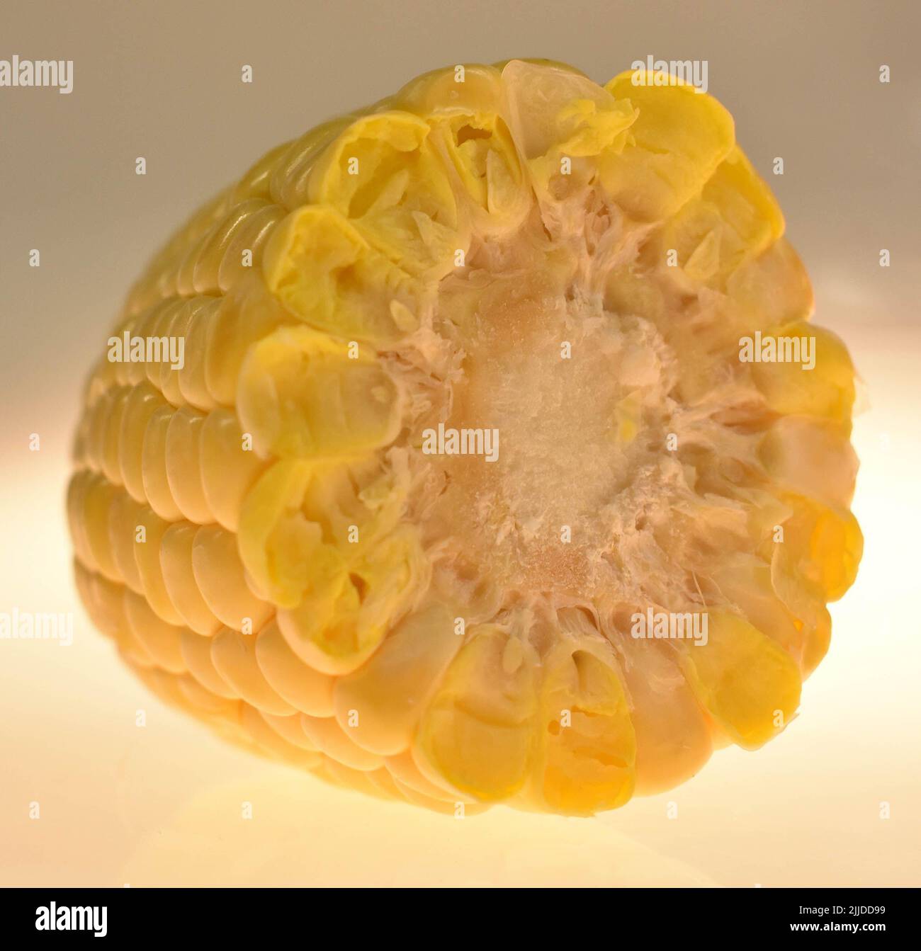 Close Up Of Uncooked Corn On The Cob (Sweetcorn Stock Photo - Alamy