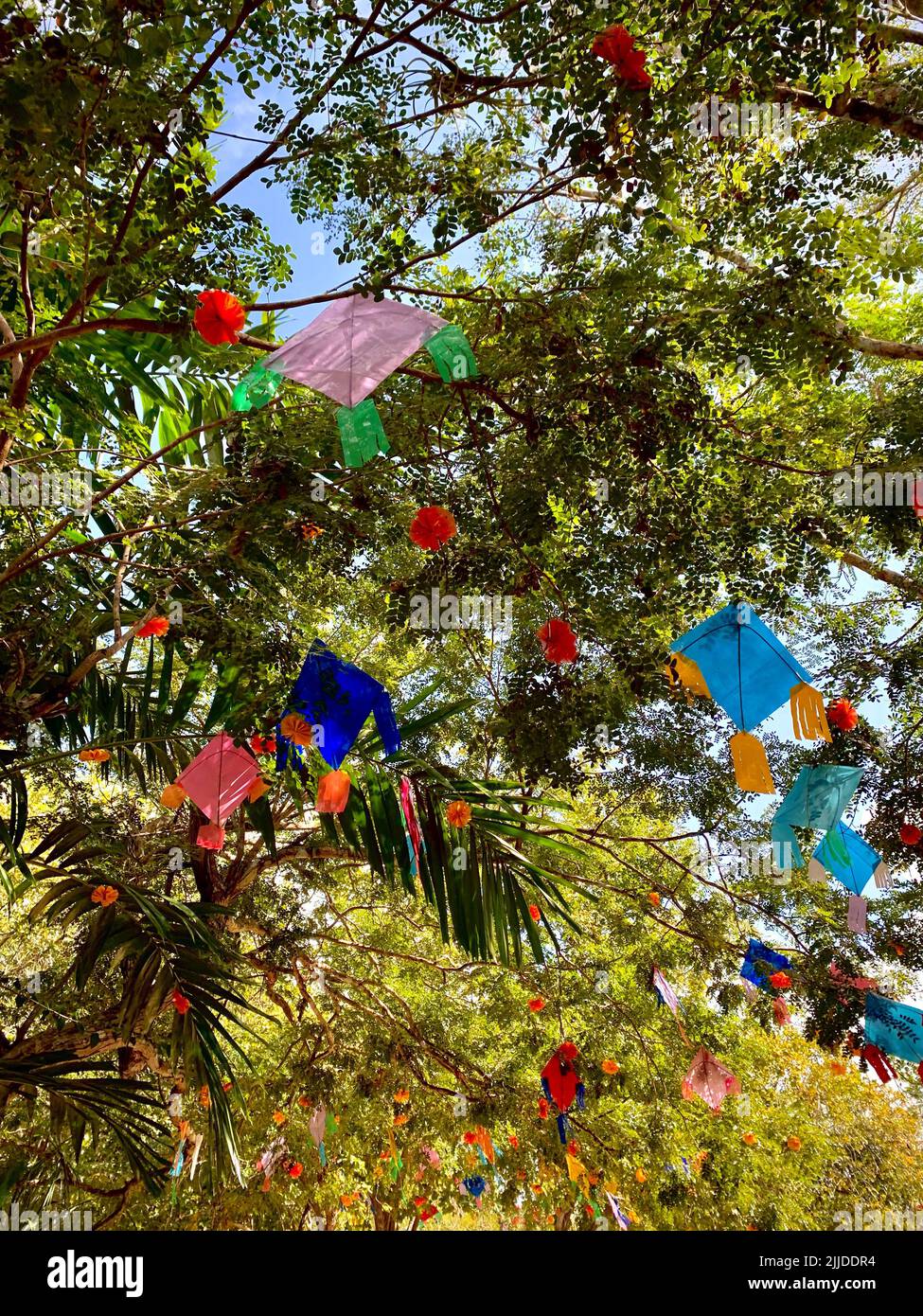 Kites decor hi-res stock photography and images - Alamy
