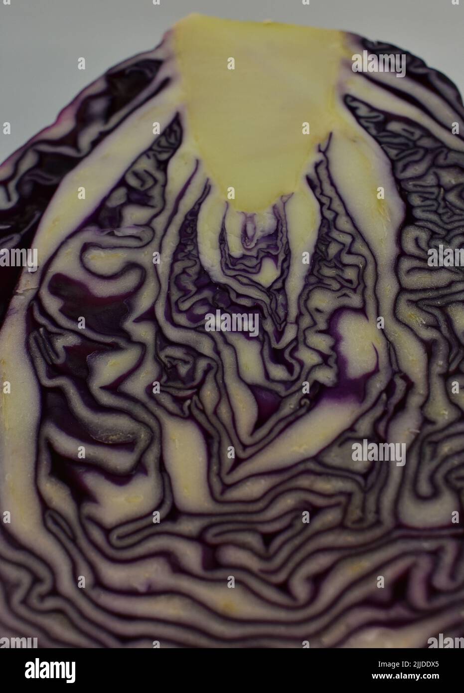 Close Up Of The Inside Of A Red Cabbage And Uncooked Stock Photo - Alamy