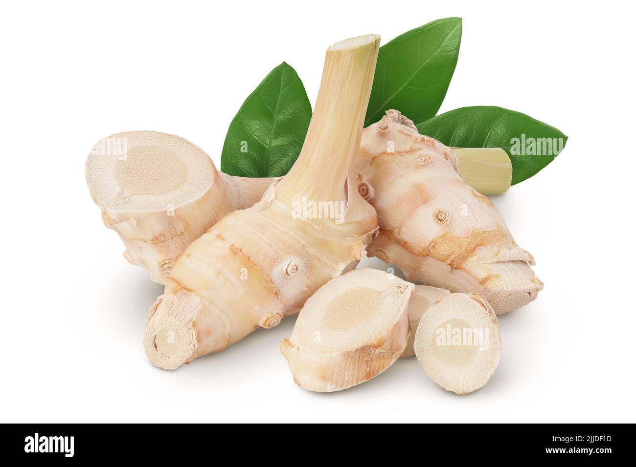 Fresh galangal root with slices isolated on white background with full ...