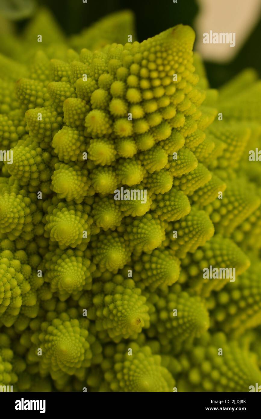 Romanesco growing hi-res stock photography and images - Alamy