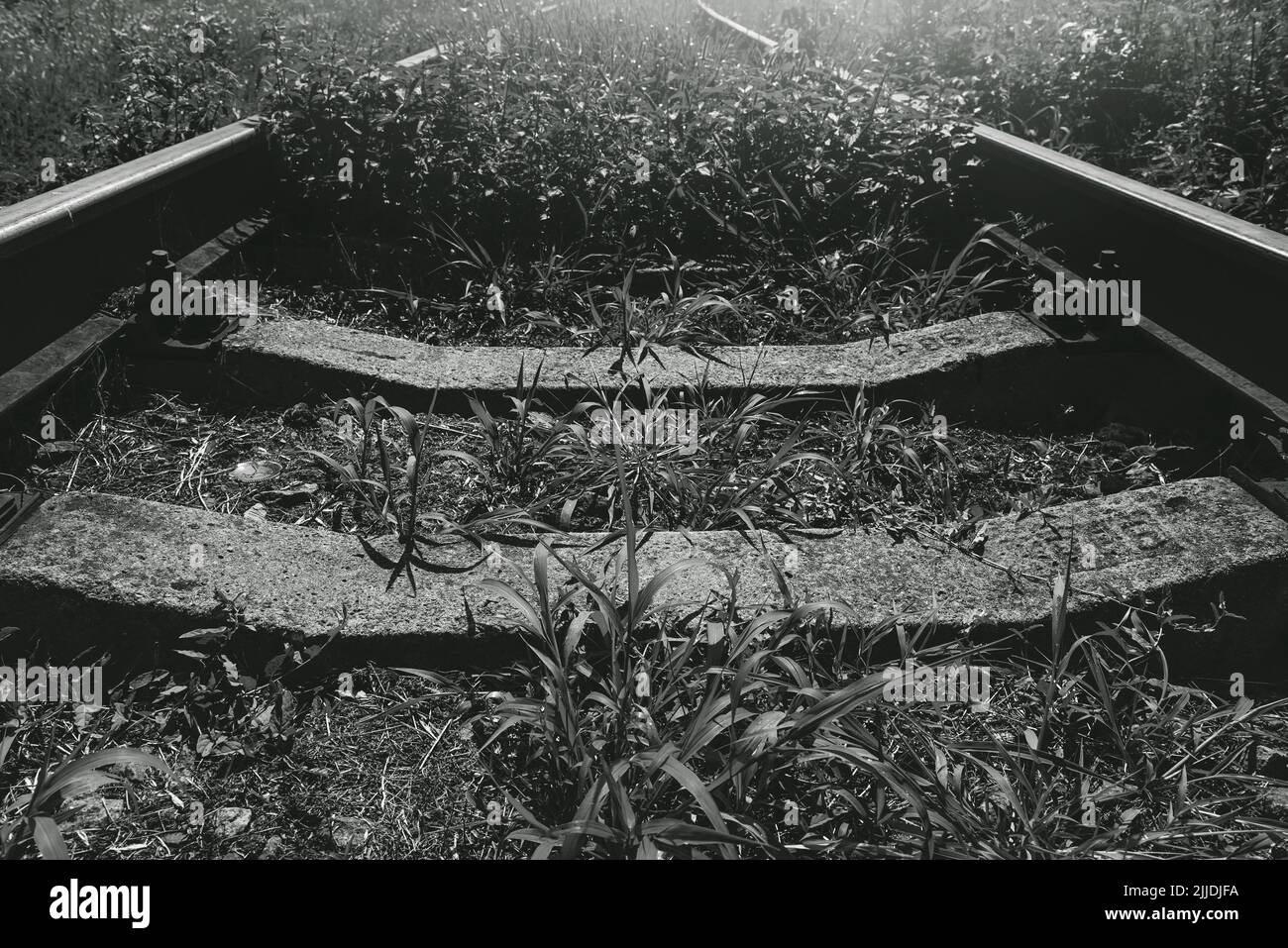Old railroad tracks overgrown with grass. Railroad black and white ...