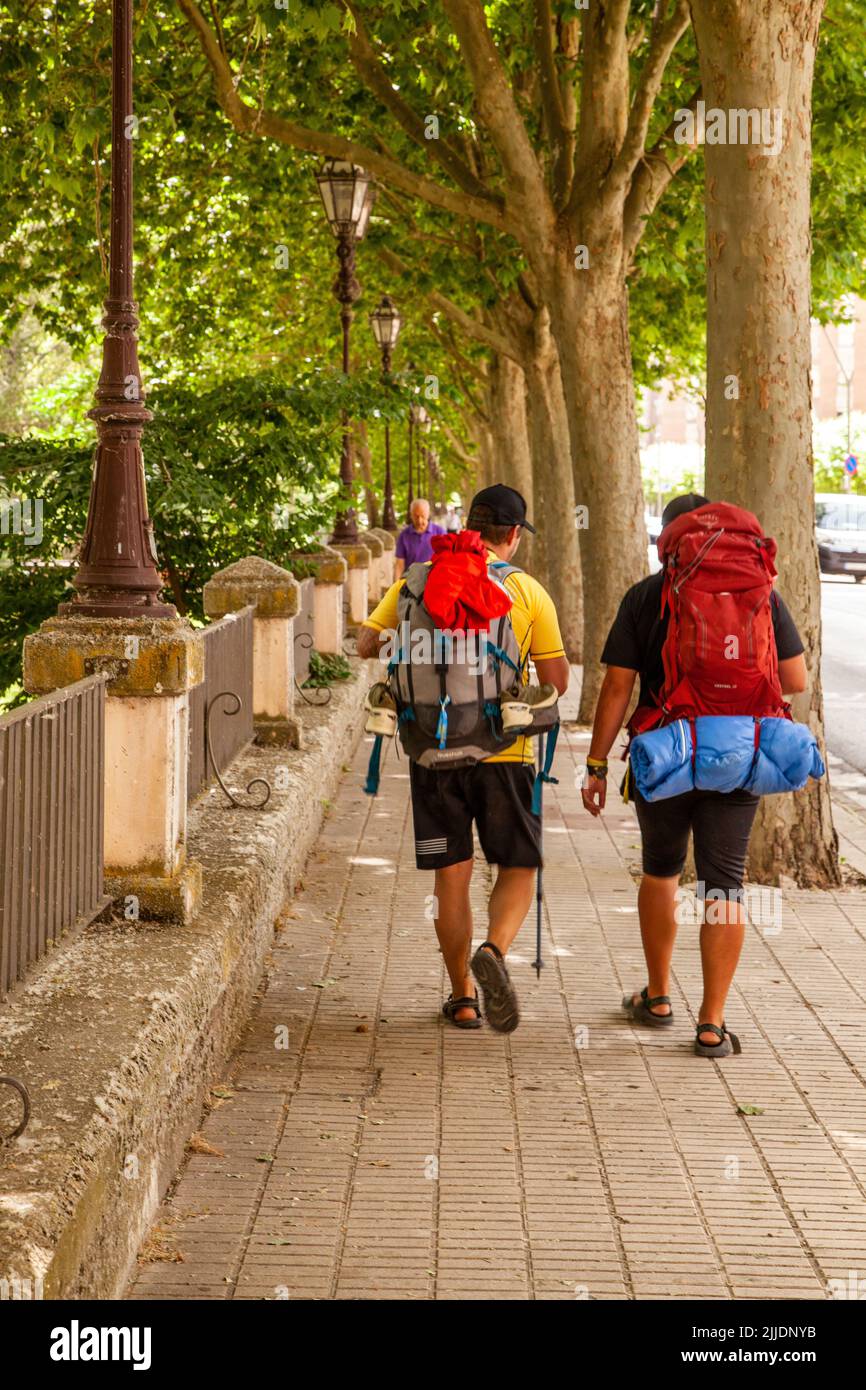 Pilgrims walking the Camino de Santiago the way of St James pilgrimage ...