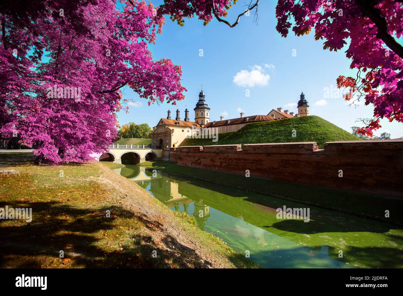 Beautiful landscape with an old castle and exotic trees Stock Photo - Alamy