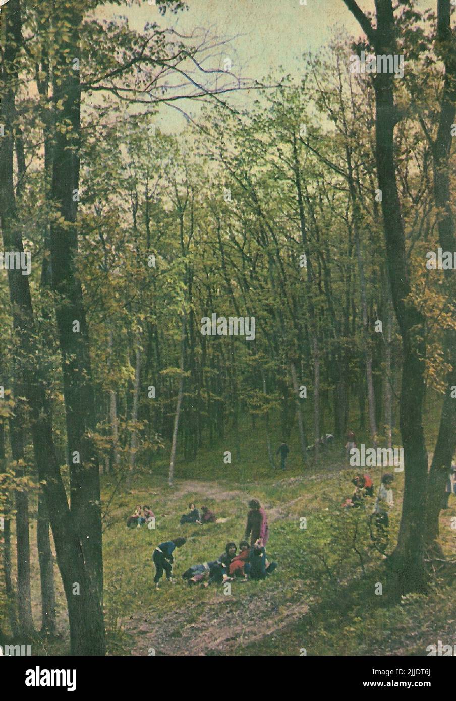 Pécs - small meadow. Zoltán Horváth's photo of Kis Rét in the Mecsek ...