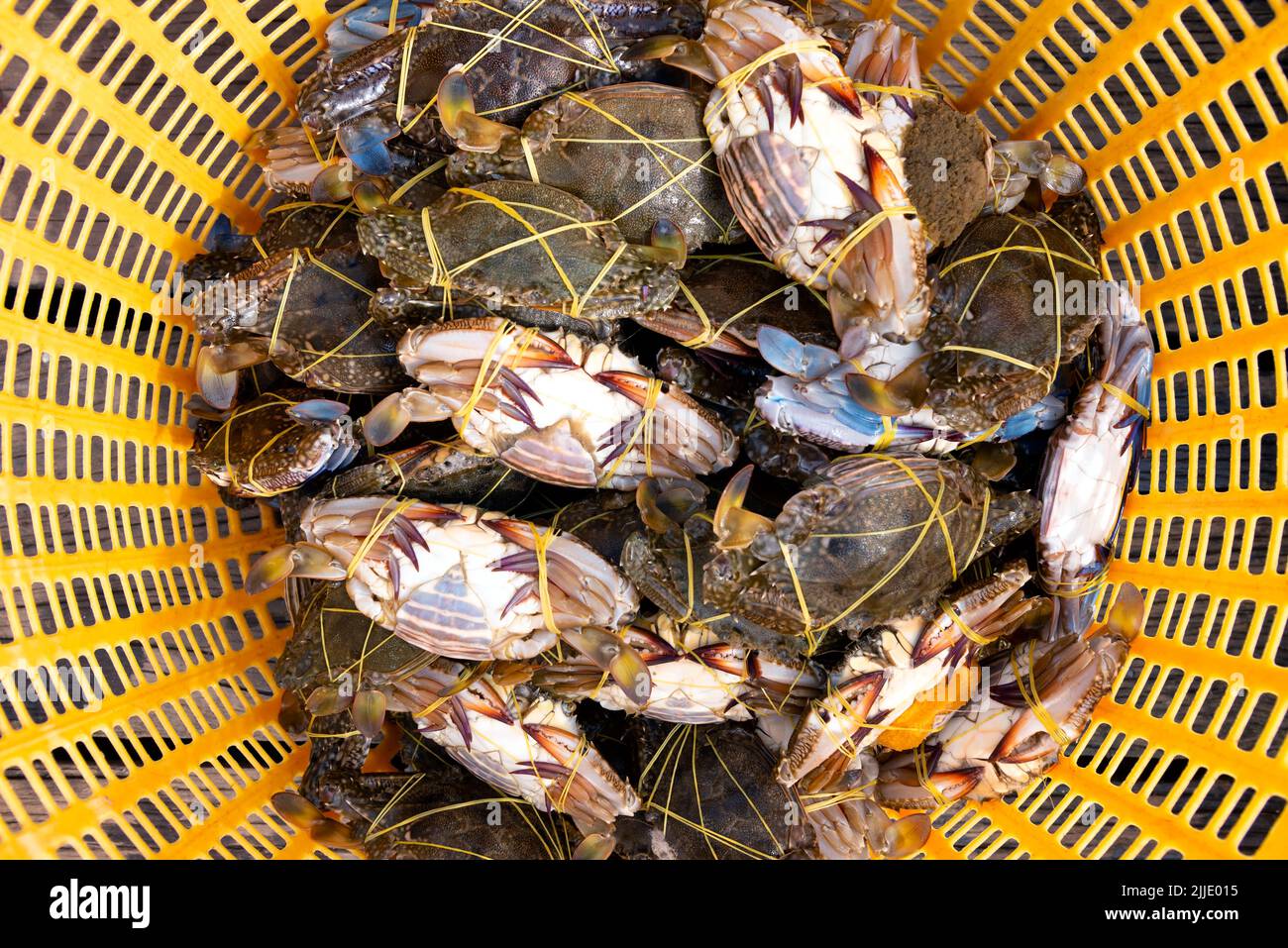 Crab shell texture hi-res stock photography and images - Alamy