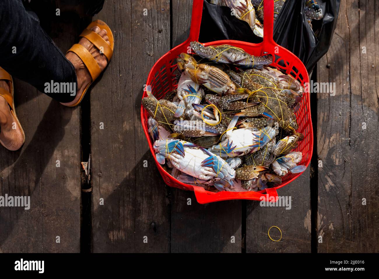 Fish shell basket seafood hi-res stock photography and images - Alamy