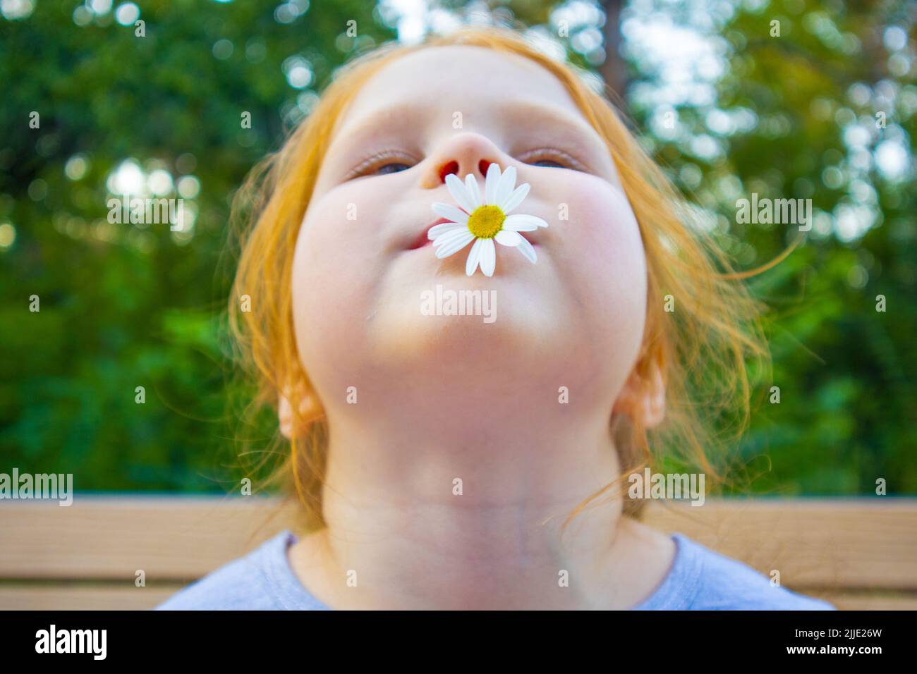a beautiful little girl with a daisy. the face of a girl with a daisy ...