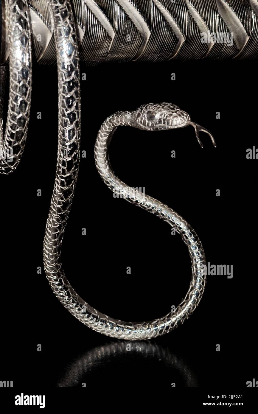 Silver Snakes Logo
