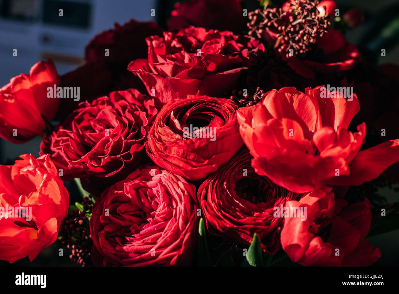 Bright red flowers bouquet Stock Photo - Alamy