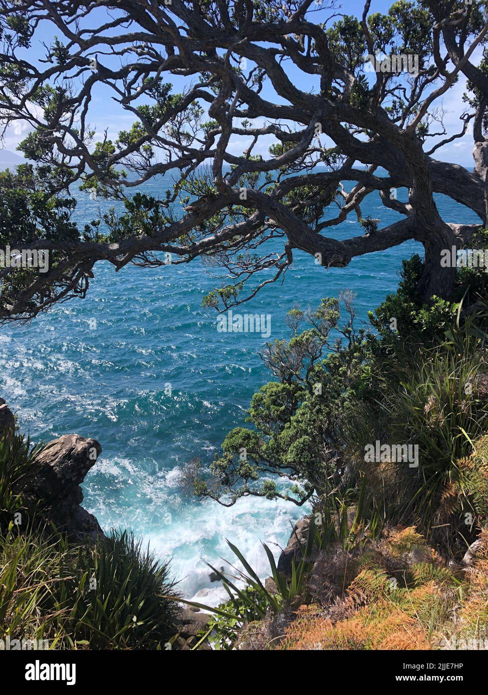A vertical shot of Ti Point in Omaha behind green trees Stock Photo - Alamy