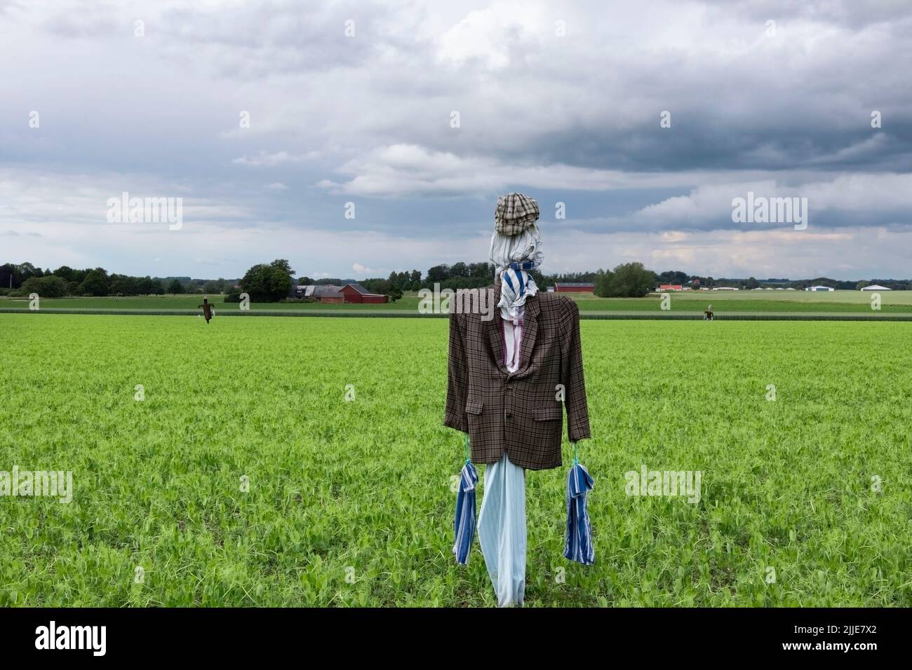 scarecrow in a jacket, cap and pants with other scarecrows against a ...